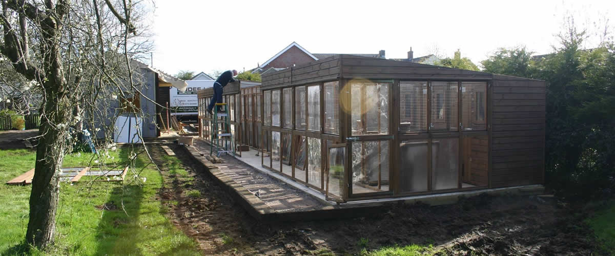 About Us - Bluecat Luxury Cattery, Clophill, bedfordshire